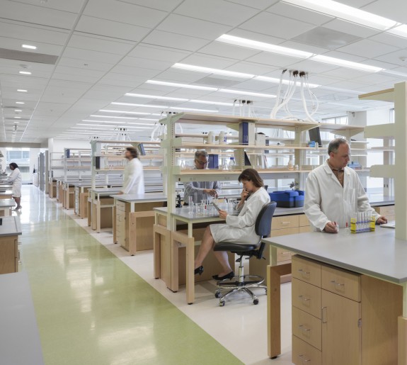 University of Maryland, Baltimore - Health Sciences and Human Services ...